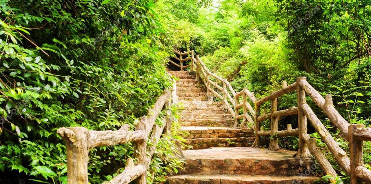 Career Opportunities - Pathway House